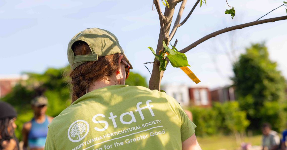 Help Neighborhoods Thrive, Tree by Tree